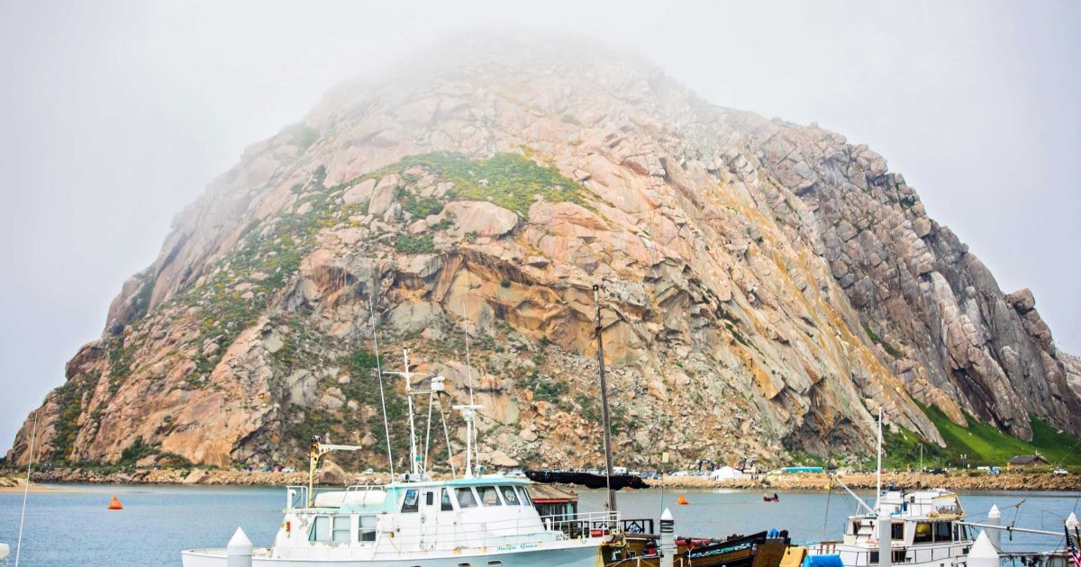 Soak Up Springtime with These 3 Morro Bay Community Events | Visit ...