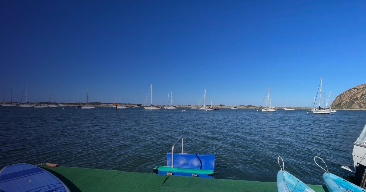 Meet the Ambassadors of Morro Bay! | Visit Morro Bay