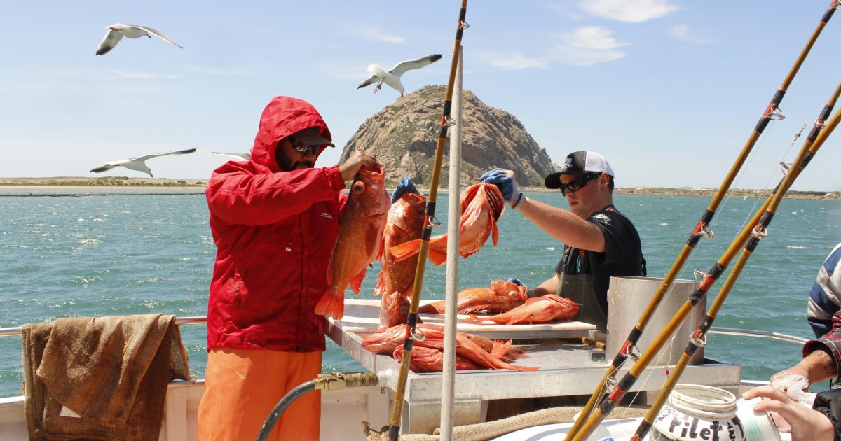 Morro Bay Fishing | Visit Morro Bay