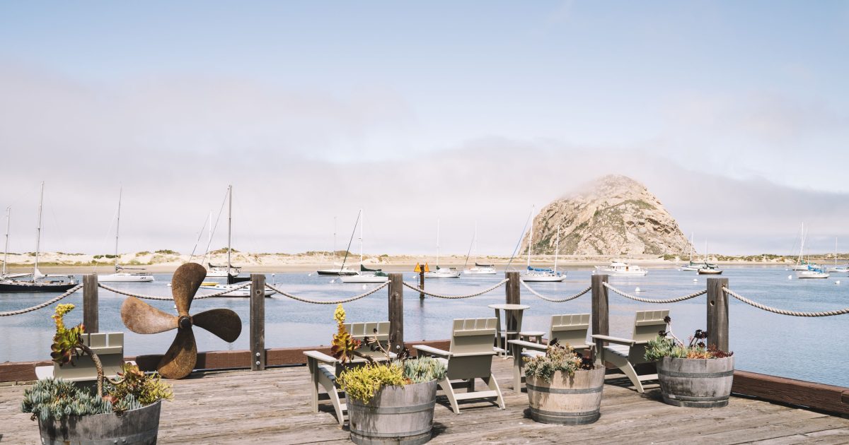 Se Permiten Perros En El Parque Estatal Morro Bay