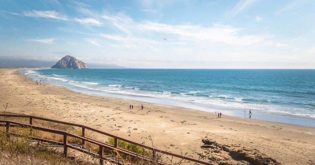 Morro Strand State Beach | Location & Things to Do | Visit Morro Bay