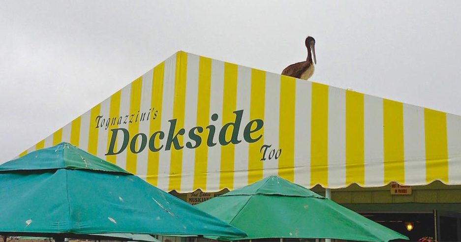 Tognazzini's Dockside Too Fish Market | Visit Morro Bay